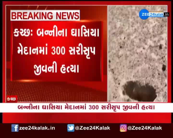 sanda News in Gujarati, Latest sanda news, photos, videos | Zee News ...