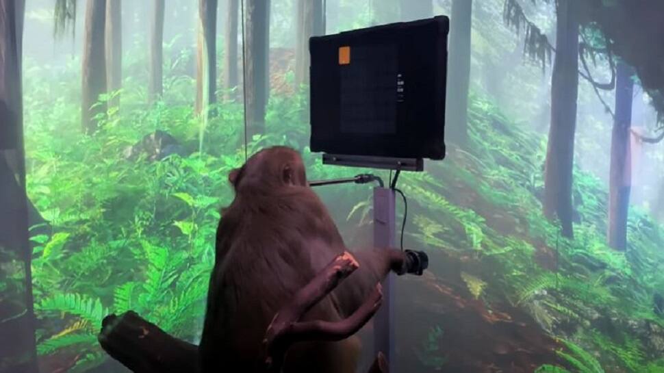 elon musks company neuralink released video monkey playing video games ...
