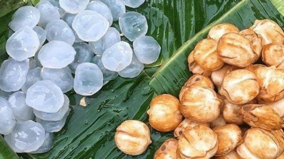 Health Tips: તાડફળી ખાઓ અને ગરમીને દૂર ભગાવો, જાણો શરીર માટે કેટલું ...