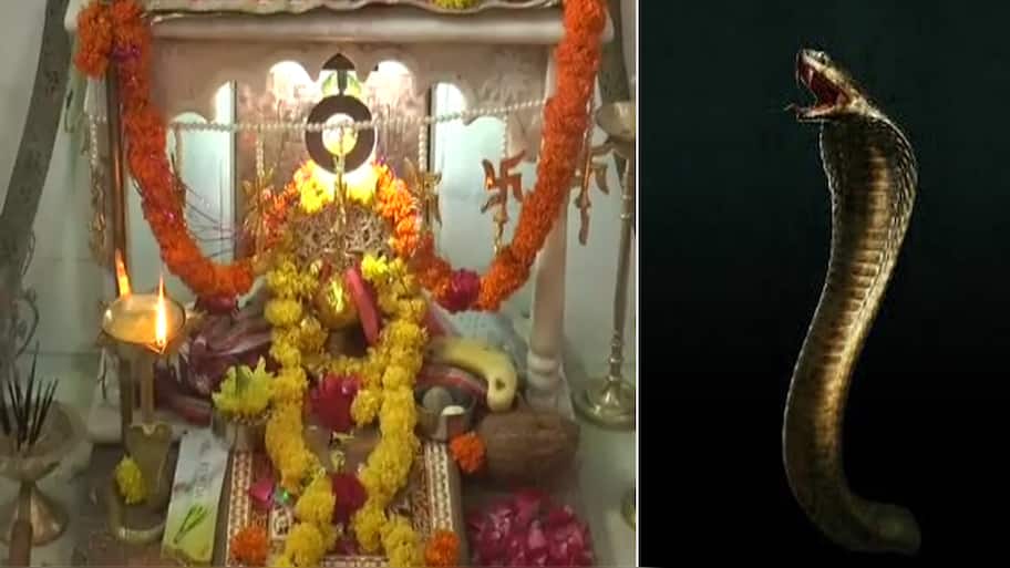 નાગપંચમીના દિવસે જ ખૂલે છે ગુજરાતનું આ મંદિર, નવાબને સપનુ આવ્યા બાદ થયો ...