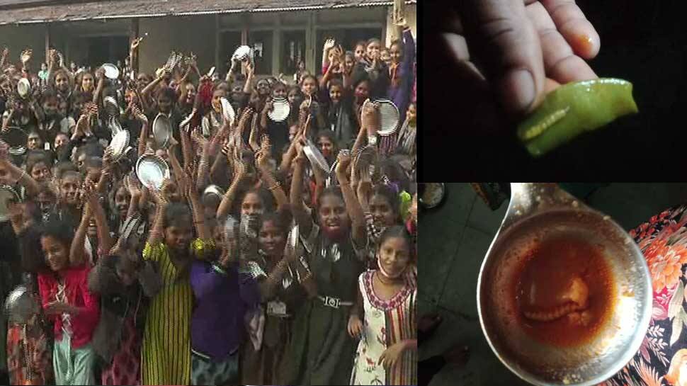 Naswadi ના લીંડા ગામે સ્કૂલમાં વિદ્યાર્થિનીઓને ભોજનમાં અપાય છે ઇયળ અને ...