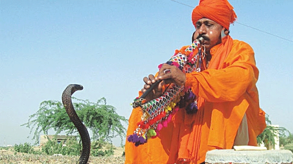 Why Do Snakes Dance After Listening Tune Of Bean: બીનની ધૂન સાંભળીને ...