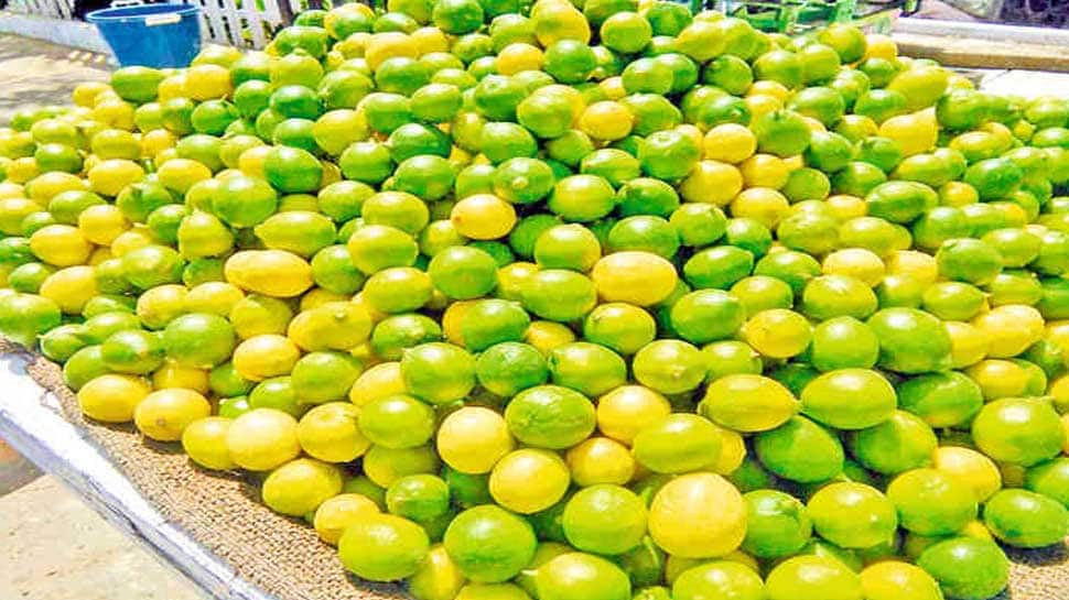 Lemon Price: ઉનાળામાં ઠંડક આપતું લીંબુ પાણી પણ લોકોને દઝાડી રહ્યું છે ...