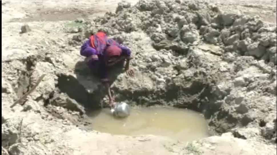 water crieses in banni area of kutch in summer ready for migration