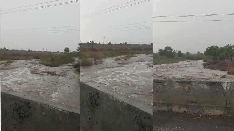Rain in Gujarat, First rain of Gujarat, several districts, Gujarat ...