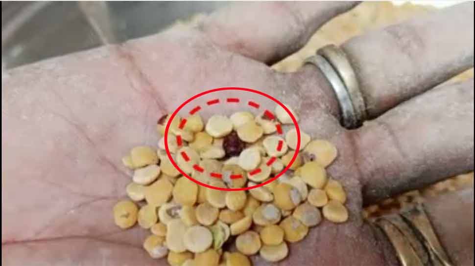 Insect Found From Dal Given To Govenment School In Karjan