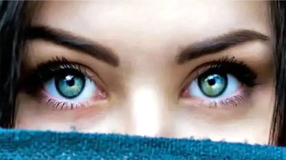 the-appearance-shape-and-size-of-the-eyes-also-tells-the-nature-of-a ...
