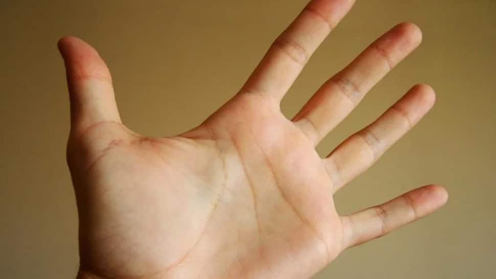 vivah rekha hasta rekha, palmistry, sign on marriage line