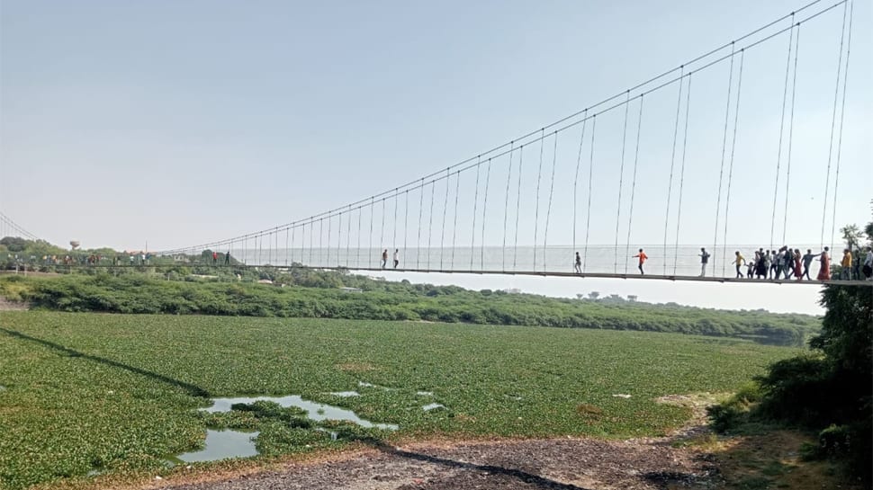 Suspension bridge of Morbi has been thronged to visit on the first day ...