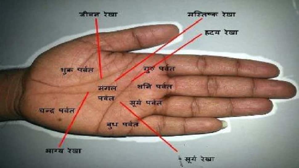 Palmistry if these lines in hand person definitely becomes rich in life ...