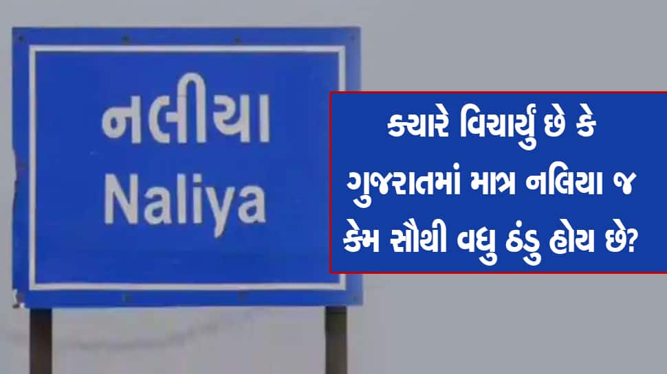coldwave in gujarat why kutch naliya most coldest city in gujarat know ...