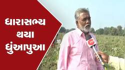 kalol News in Gujarati, Latest kalol news, photos, videos | Zee News ...