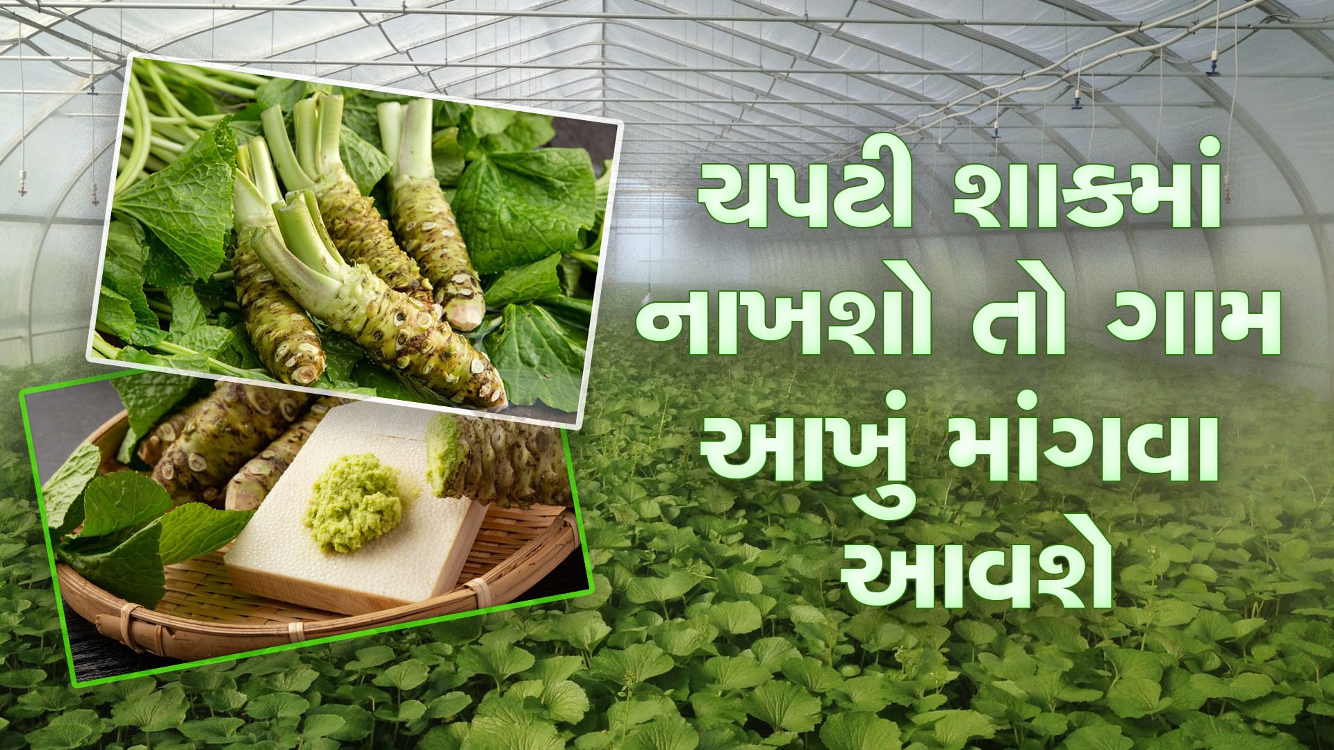 Only 10 places outside of Japan grow wasabi