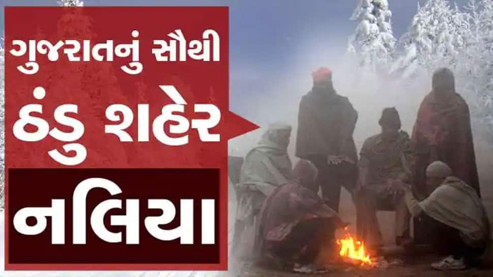 coldwave alert in gujarat naliya become most chilled in gujarat