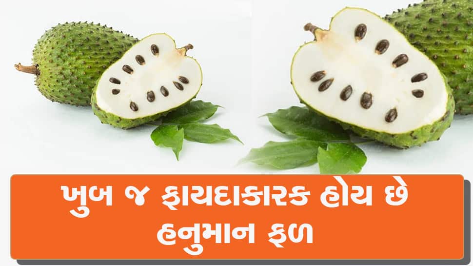 health benefits of eating soursop fruit hanuman phal