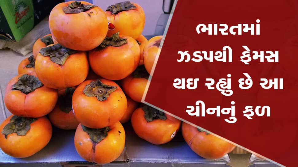 Persimmon fruit and its benefits with full of vitamins