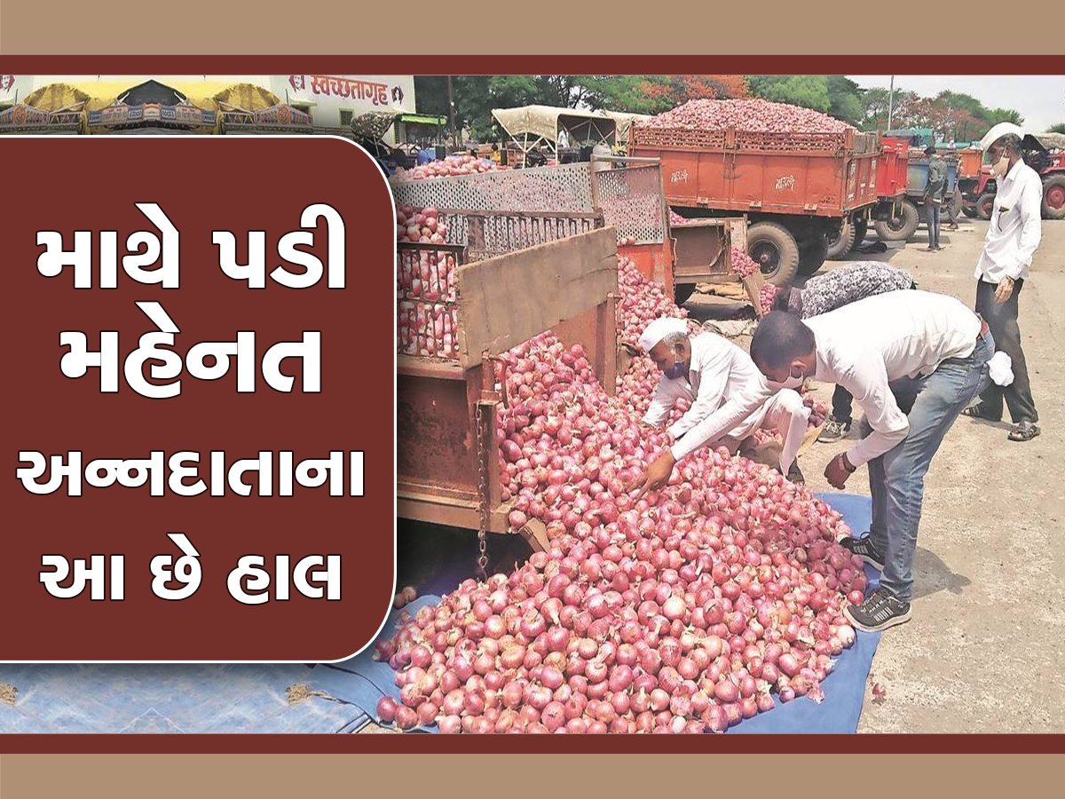 maharashtra Solapur farmer Rajendra Chavan gets profit of rs 2 49 on ...