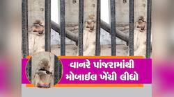Kamati Baug News in Gujarati, Latest Kamati Baug news, photos, videos ...