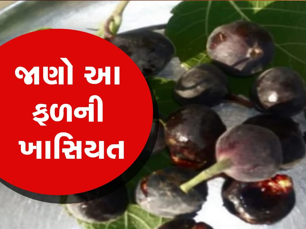 PM Modi Favorite Fruit: અનેક ગુણોથી ભરપૂર છે આ ફળ, કેન્સર જેવી બીમારી ...