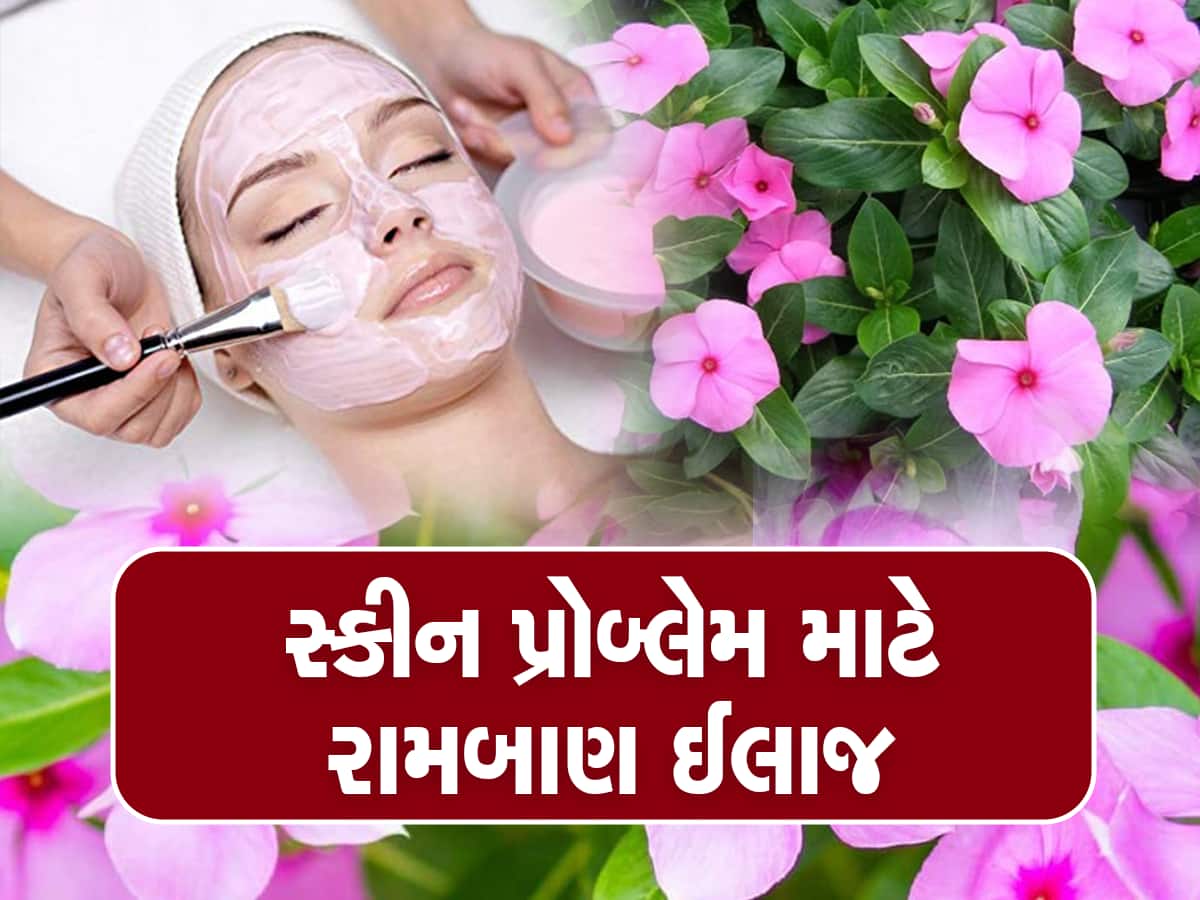sadabahar flower health benefits skincare tips barmasi flower