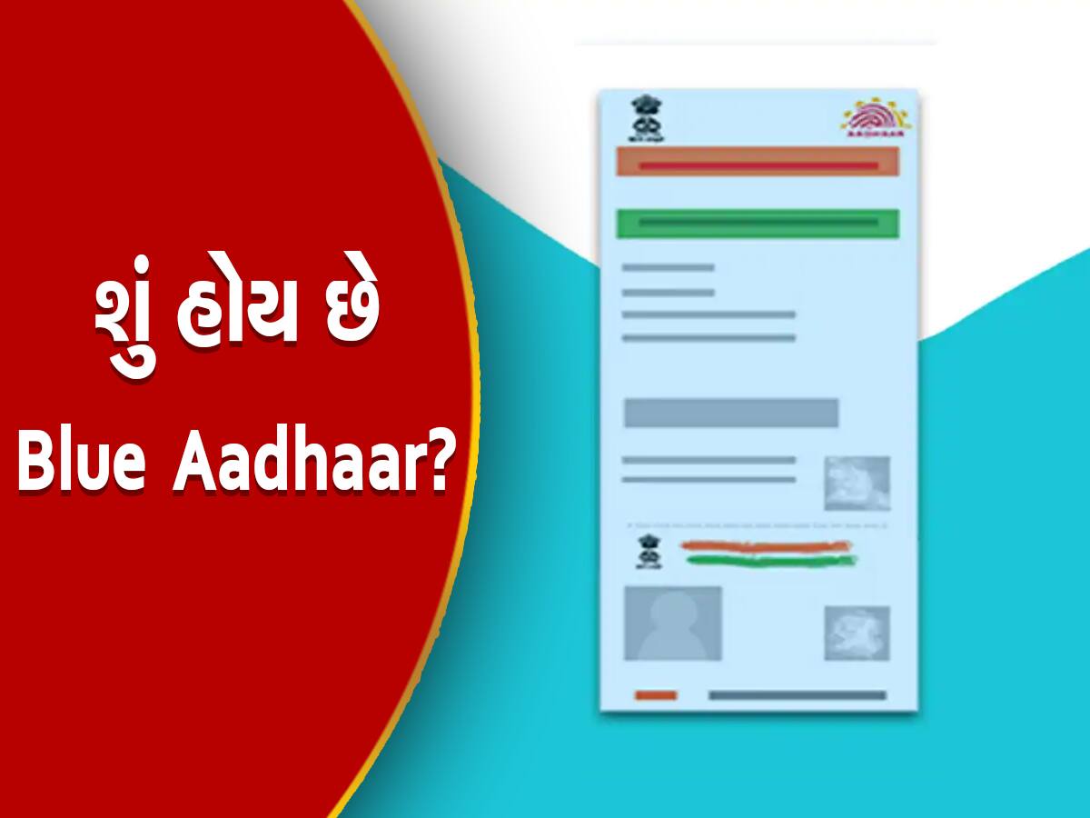 what is blue aadhaar card and how is it different from normal