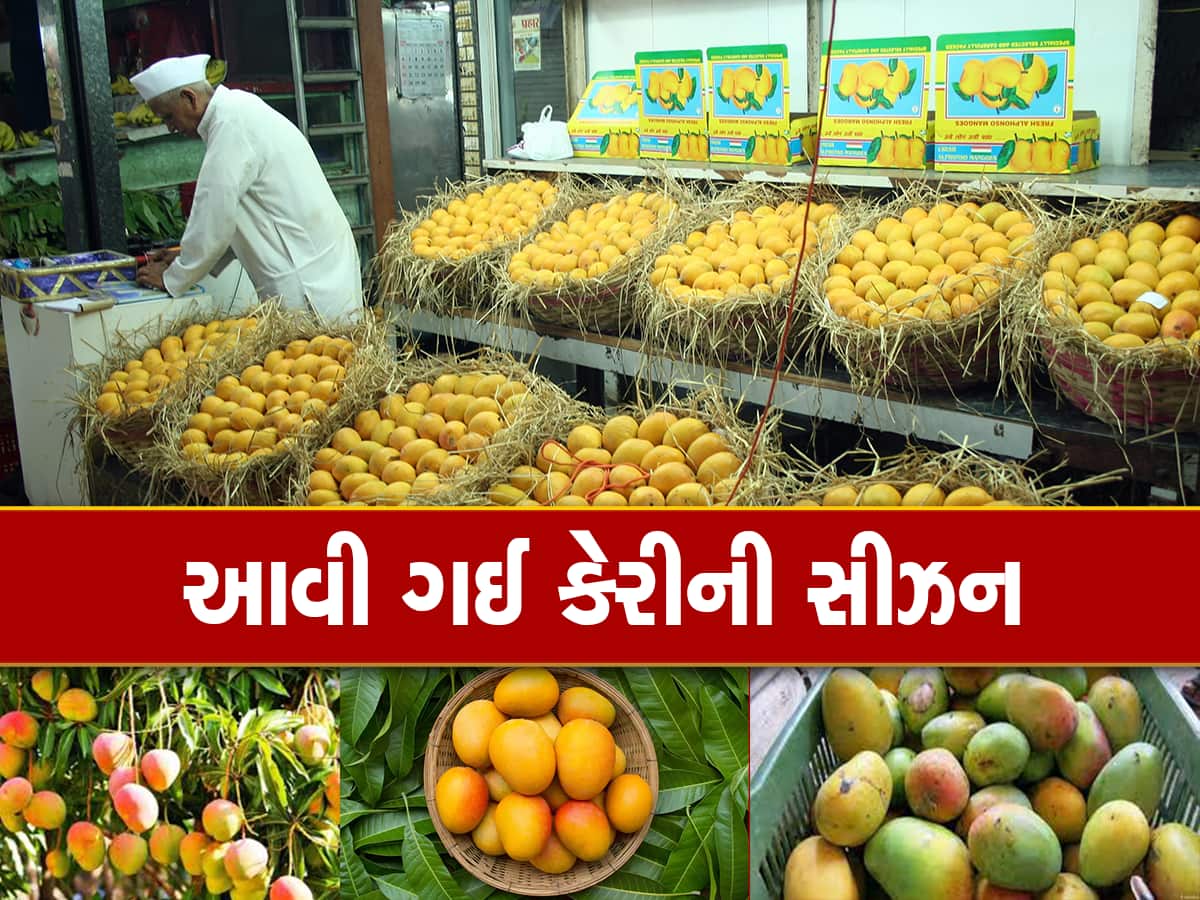 ભારતમાં આટલા પ્રકારની મળે છે કેરીઓ, નામ પાછળ એક રસપ્રદ કહાની