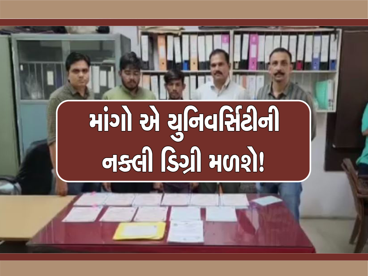 kheda police caught fake marksheet scam with two accused