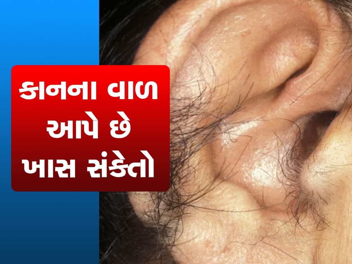 કાન પર વાળ : કાનમાં વાળ હોવાના આ છે ફાયદાઓ, સમુદ્રશાસ્ત્ર અનુસાર આ મળે ...