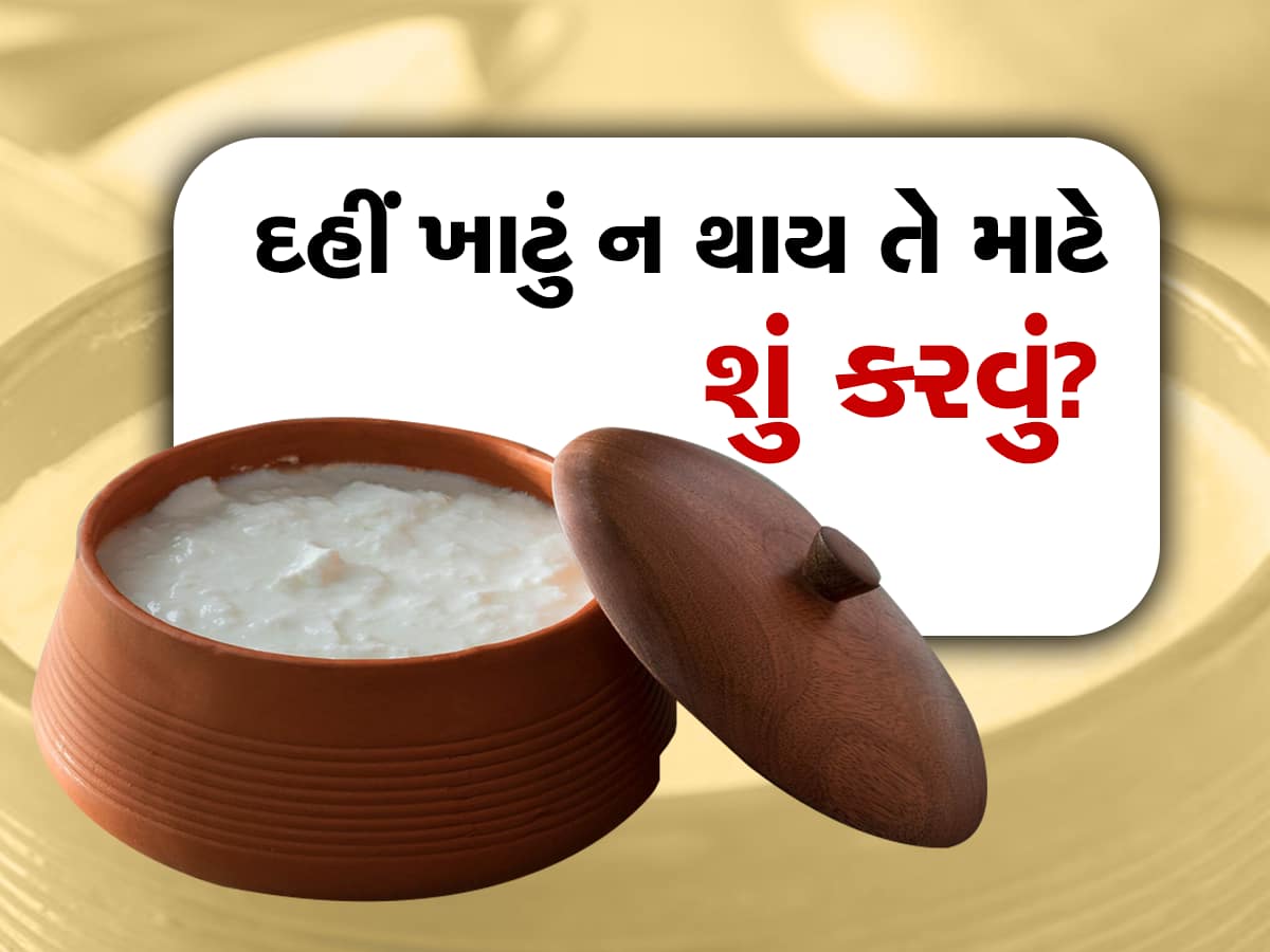 easy kitchen tips how to prevent curd from getting sour easy kitchen tips how to prevent curd from getting sour