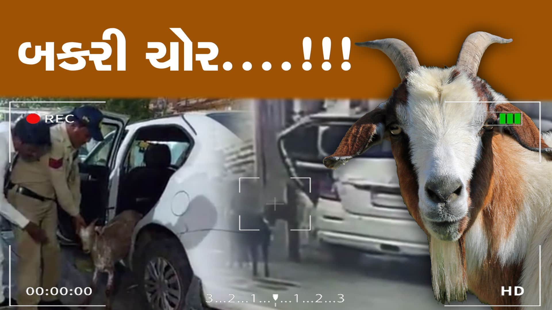 Goat theft by stealing such a goat in a luxurious car....! See CCTV