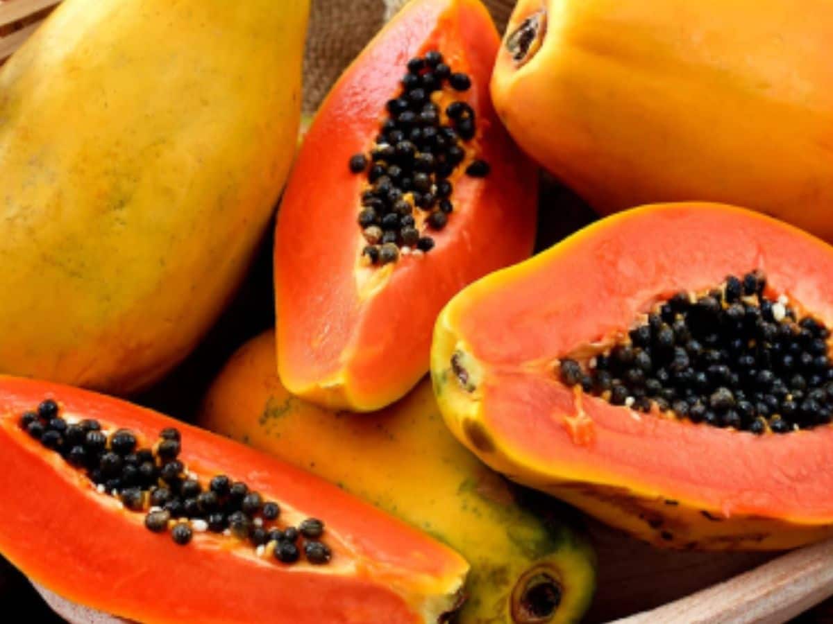 Papaya Bad Combination: પપૈયા સાથે ભૂલથી પણ ન ખાઓ આ 5 વસ્તુઓ, ખાશો તો ...