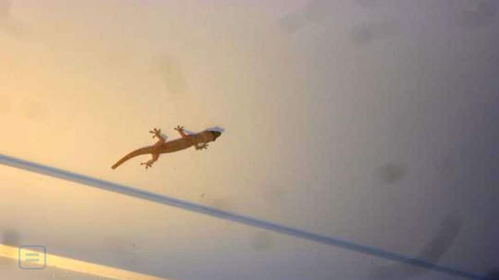 [node:title] | [node:field-hi-section:0] News in Gujarati Know ...