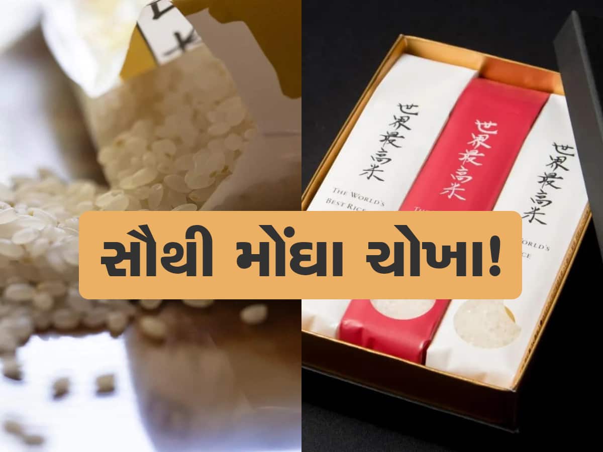 most expensive rice: આ છે દુનિયાના સૌથી મોંઘા ચોખા, કિંમત જાણીને તમે પણ ...