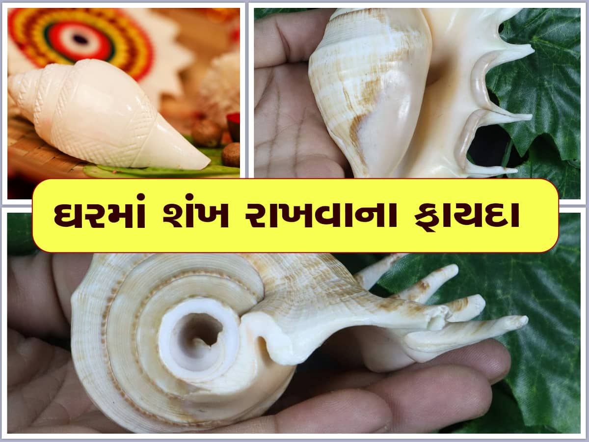 Vastu tips conch: ઘરમાં આ ખાસ શંખ રાખશો તો ધનથી છલકાશે તિજોરી ...