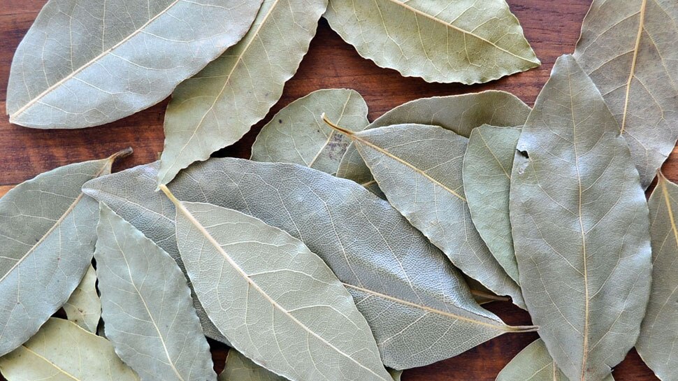 Benefits of Bay Leaf: સ્વાદની સાથો-સાથ સ્વાસ્થ્ય માટે પણ ખુબ લાભકારી છે આ પાંદડા