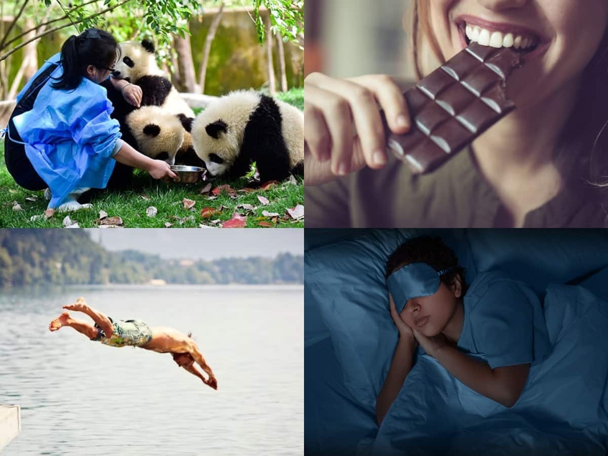 know about 5 jobs in the world where work is nil but salary package is ...