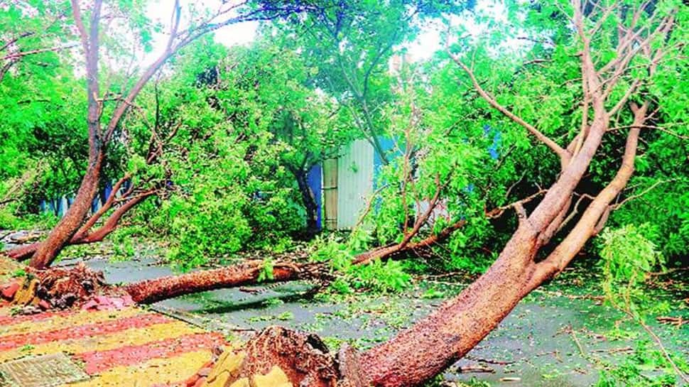 [node:title] | [node:field-hi-section:0] News in Gujarati Cyclone ...