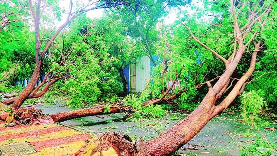 [node:title] | [node:field-hi-section:0] News in Gujarati Cyclone ...