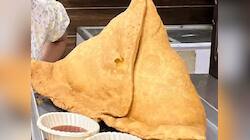 Samosa News in Gujarati, Latest Samosa news, photos, videos | Zee News ...
