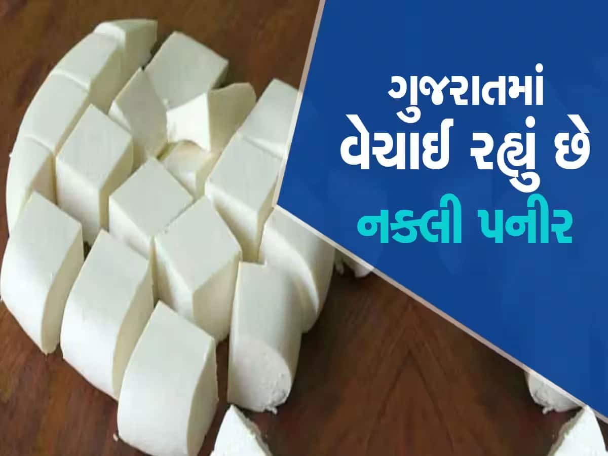fake paneer caught from vadodara three sample fail in health department ...