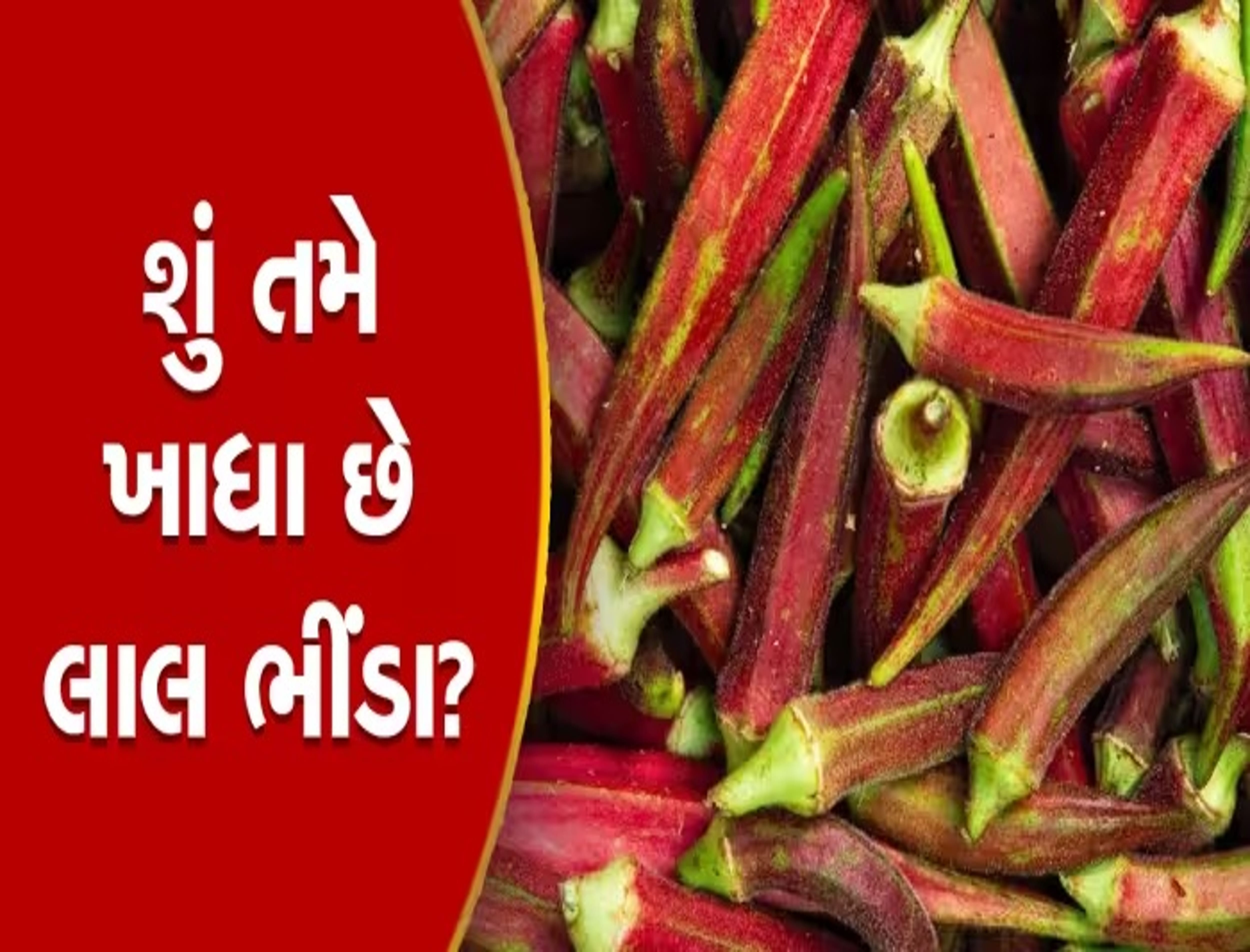 લીલા કે લાલ ભીંડા કયા વધુ હેલ્ધી? જાણો ડાયેટિશિયન પાસેથી સાચો જવાબ
