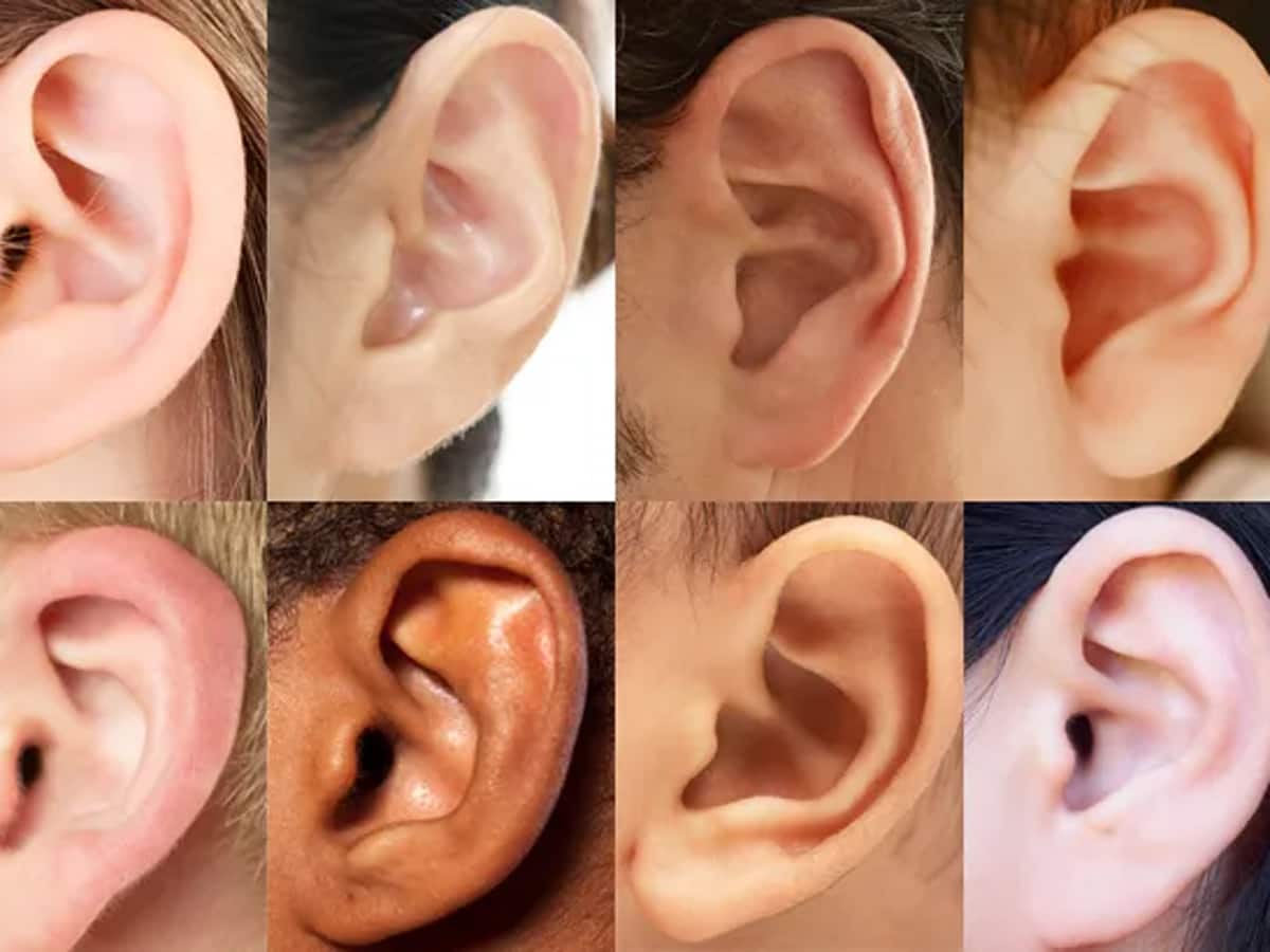 People with such ears are wise, Ears tells all Secret of Personality