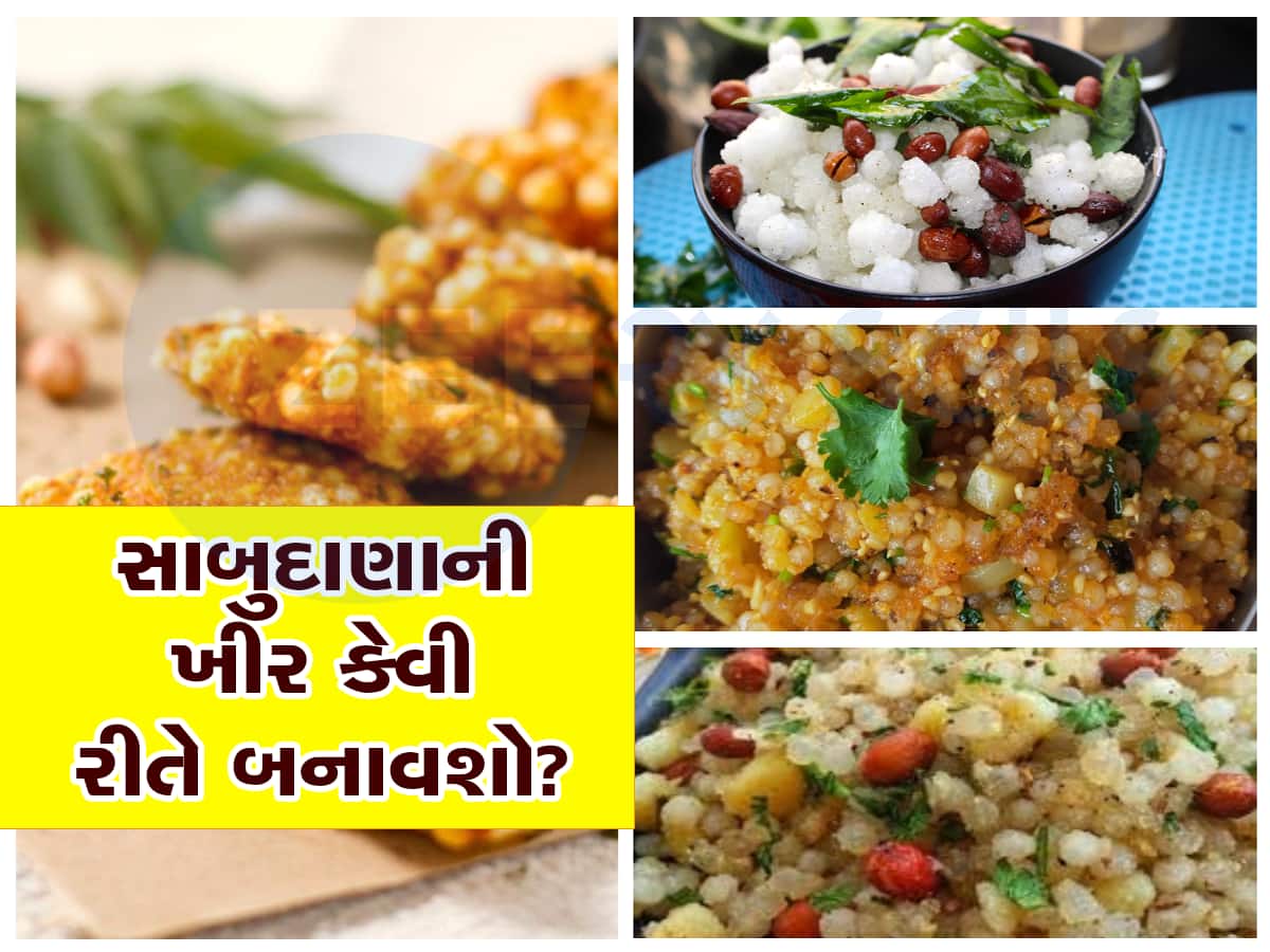 Shravan 2023: શ્રાવણ મહિનામાં ઘરે બનાવો આ ફરાળી વાનગીઓ, મળશે બજાર જેવો ...