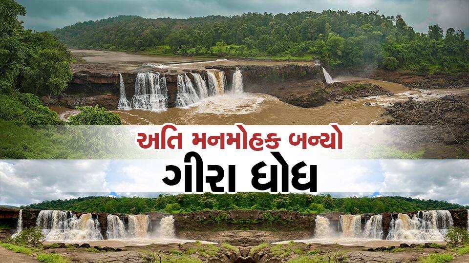 gira dhodh active in monsoon