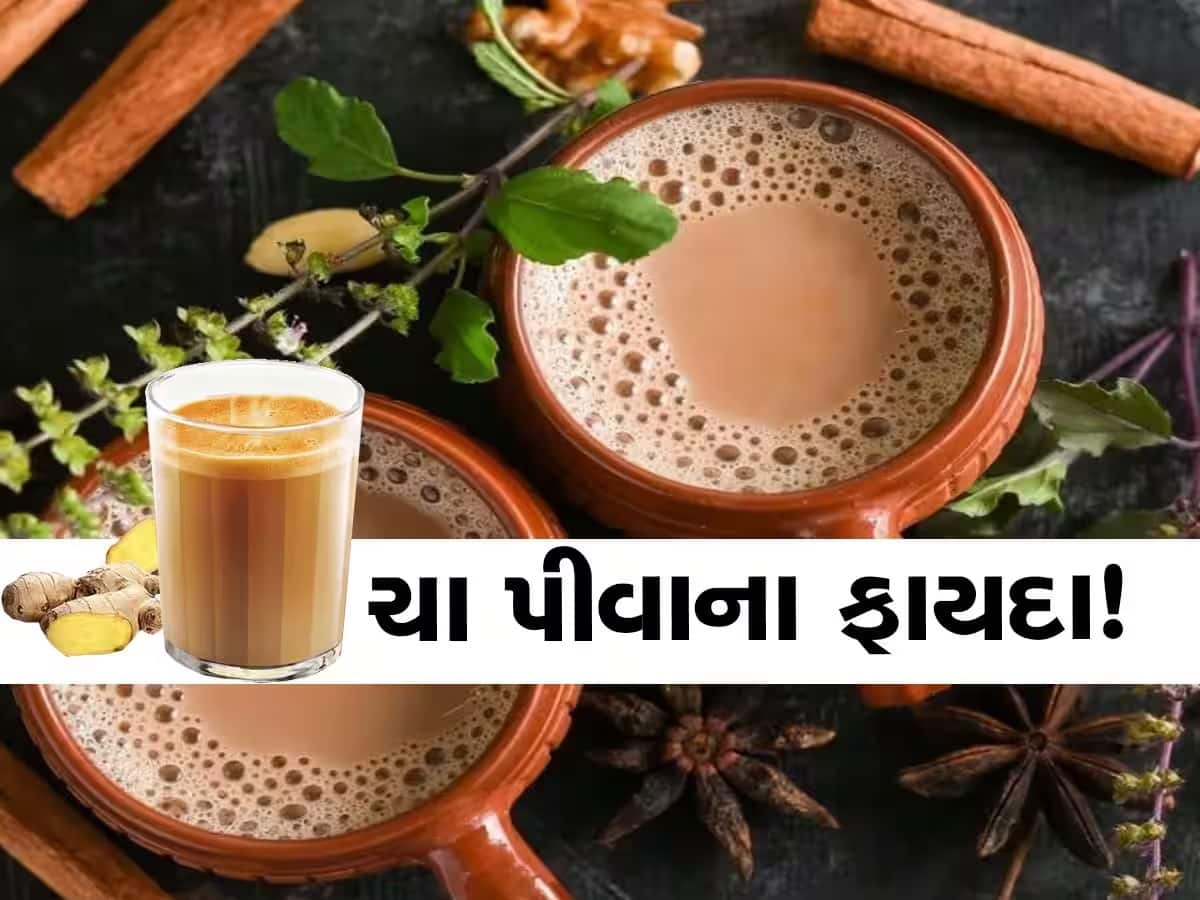 વરસાદની સિઝનમાં ઘરે બનાવો આ 3 પ્રકારની ચા, મૌસમી રોગો રહેશે દૂર ...