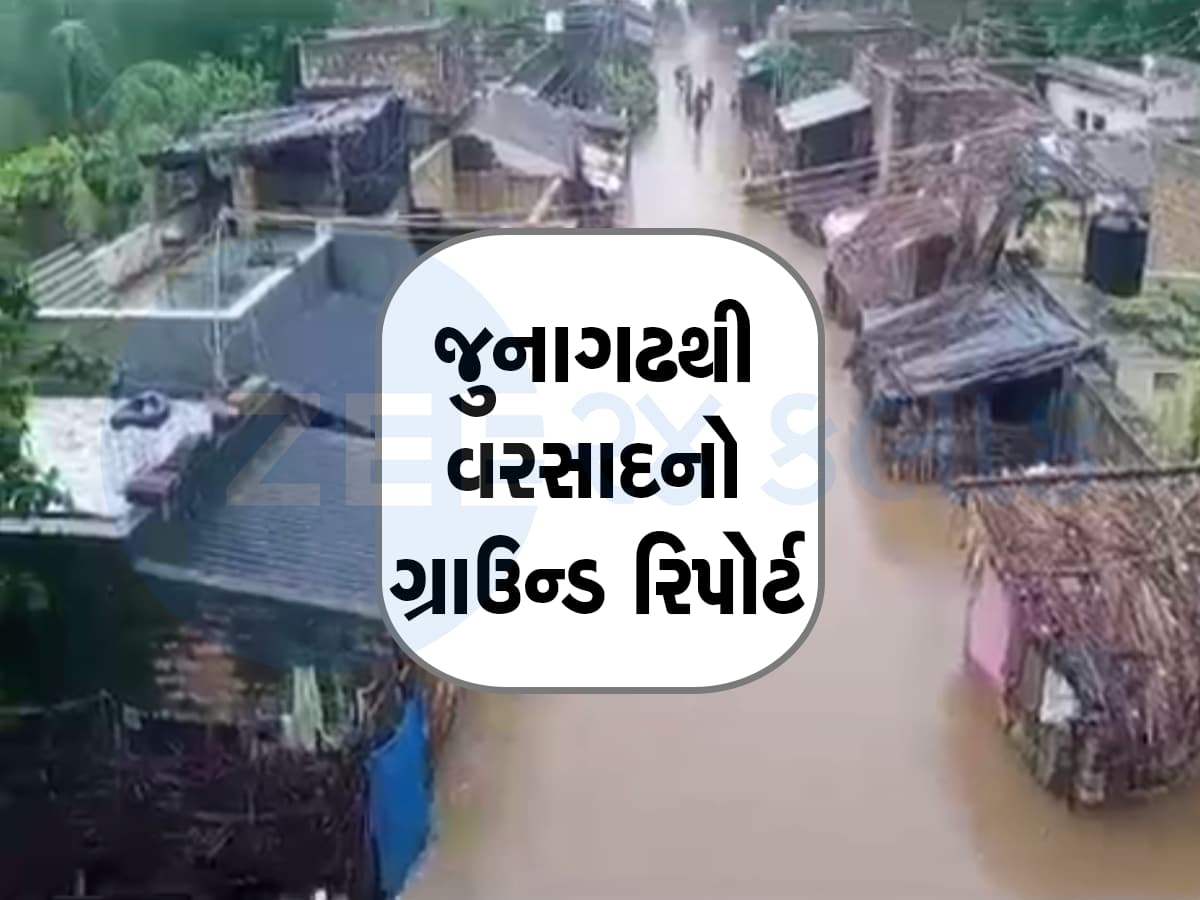 junagadh heavy rain alert everywhere water in magrole and maliya hatina