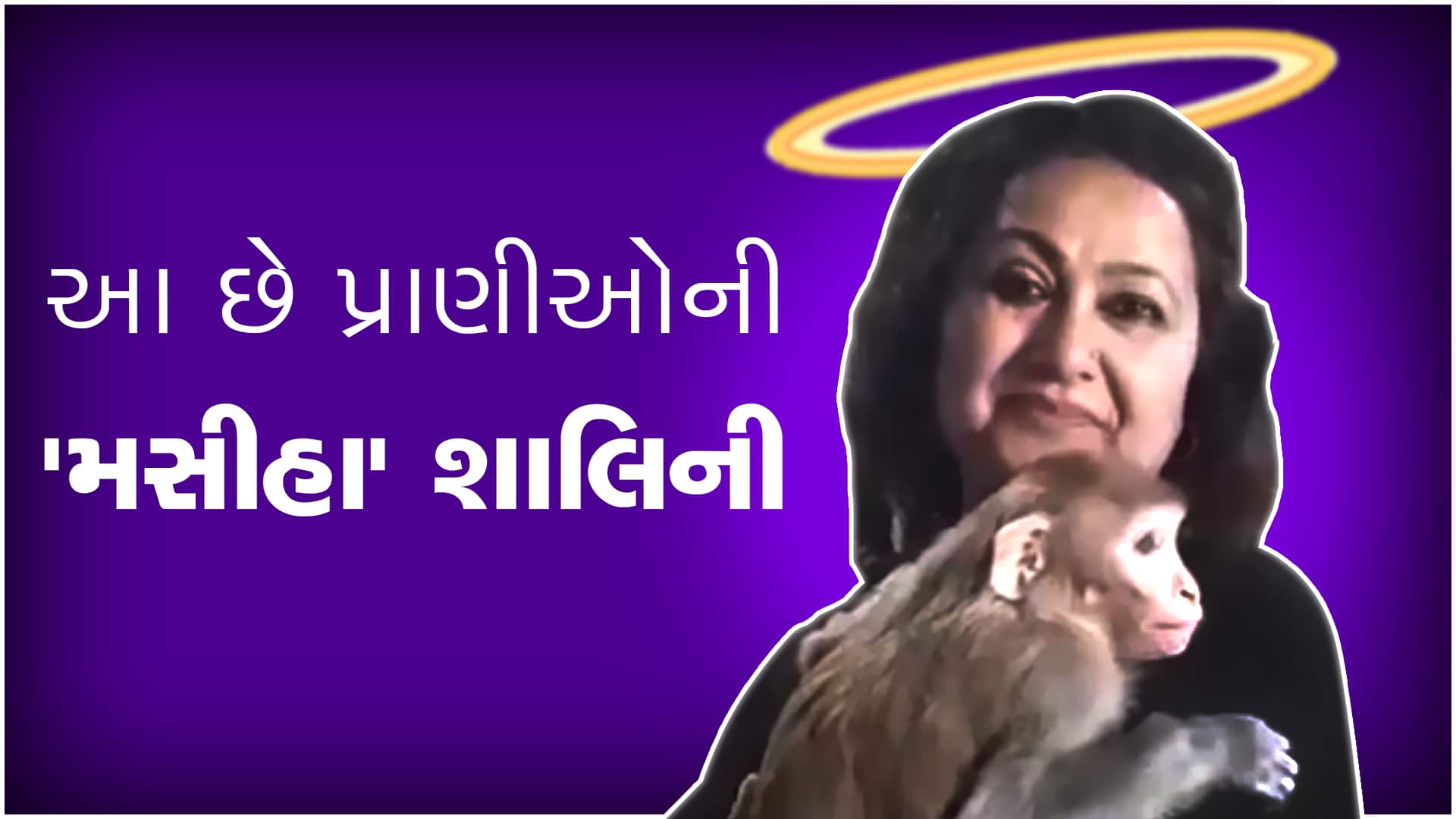 Meet Shalini Arora, who is known as the 'Messiah' of animals....whose ...