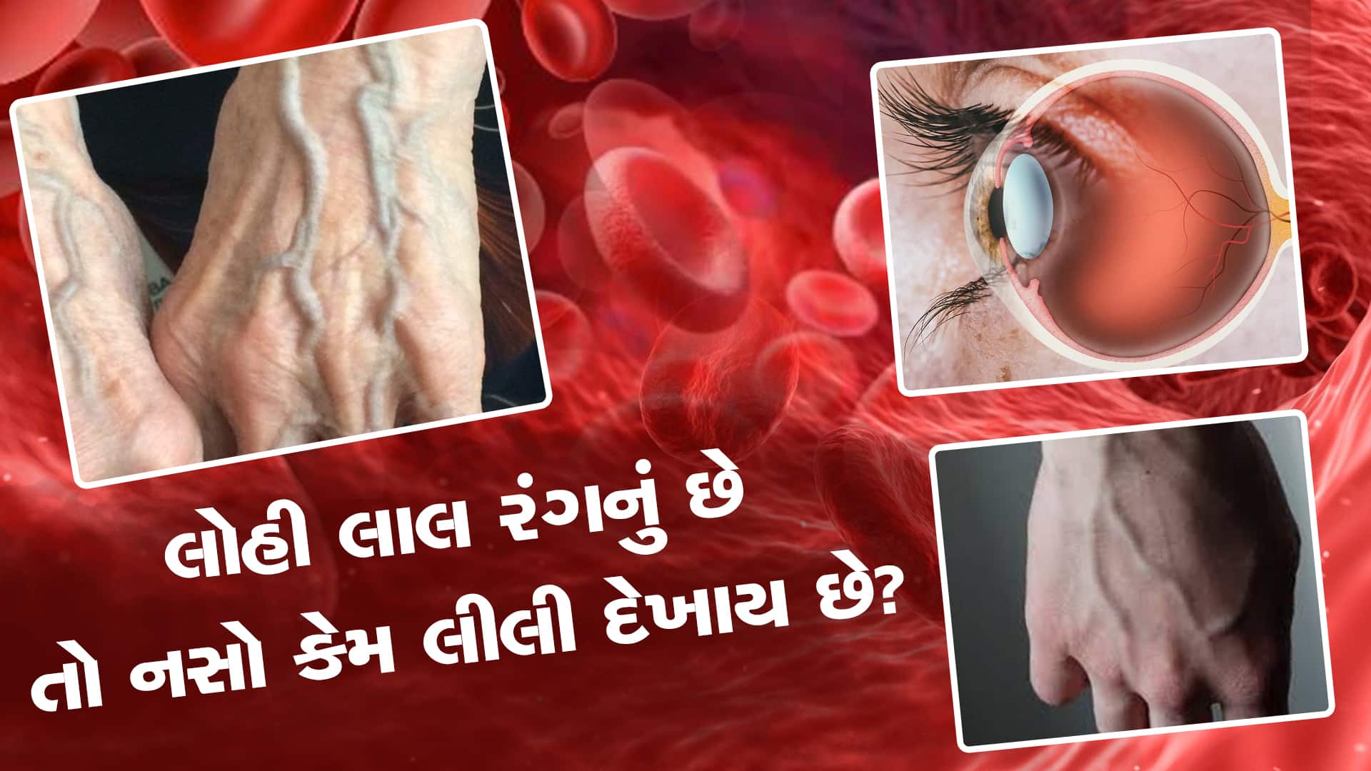 blood is red then why veins are blue and green