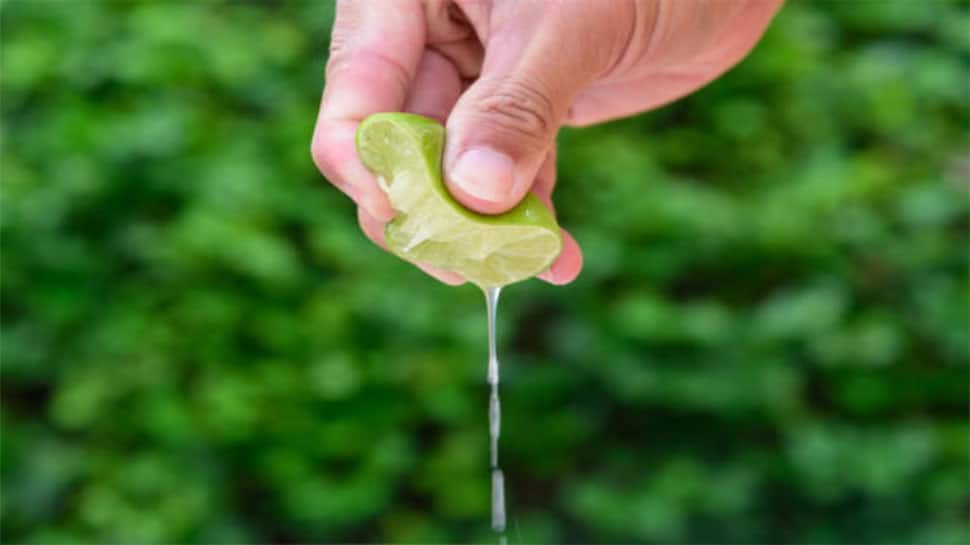 [node:title] | [node:field-hi-section:0] News in Gujarati Insect Bites ...