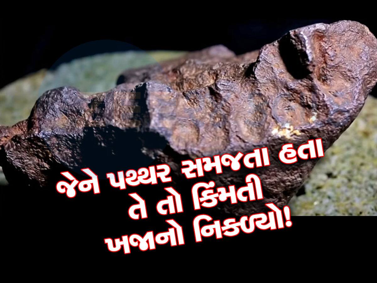 Edmore Meteorite: જેને પથ્થર સમજ્યો તે તો કિંમતી ખજાનો નીકળ્યો, રાતોરાત ...